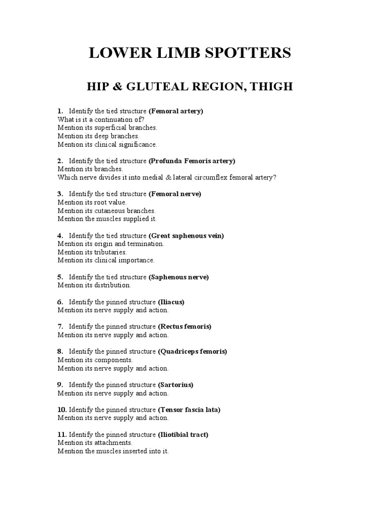 Lower Limb Spotters: Hip & Gluteal Region, Thigh | PDF | Human Leg | Foot