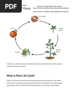 Parts and Functions of a Flower | PDF | Flowers | Seed