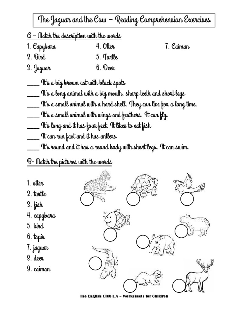 Jaguar and Cow Reading Activities | PDF | Jaguar