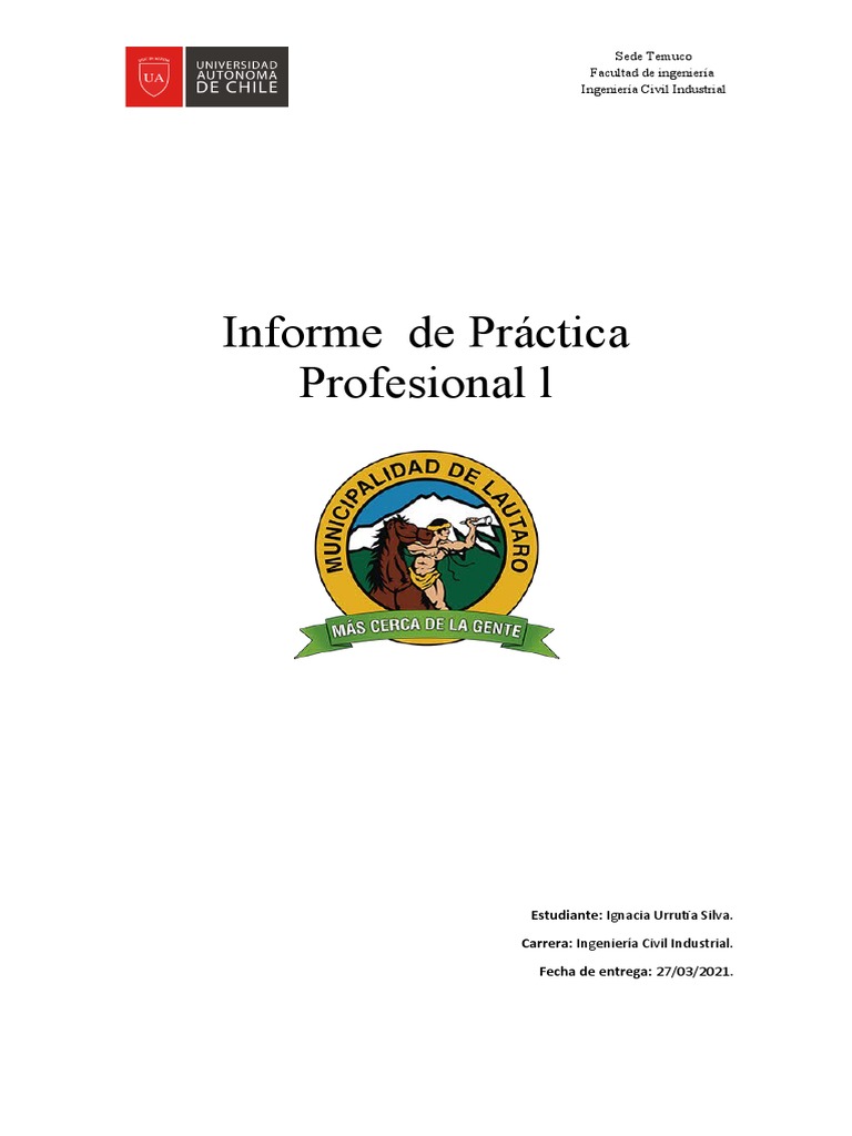 Informe Práctica Profesional L Final | PDF