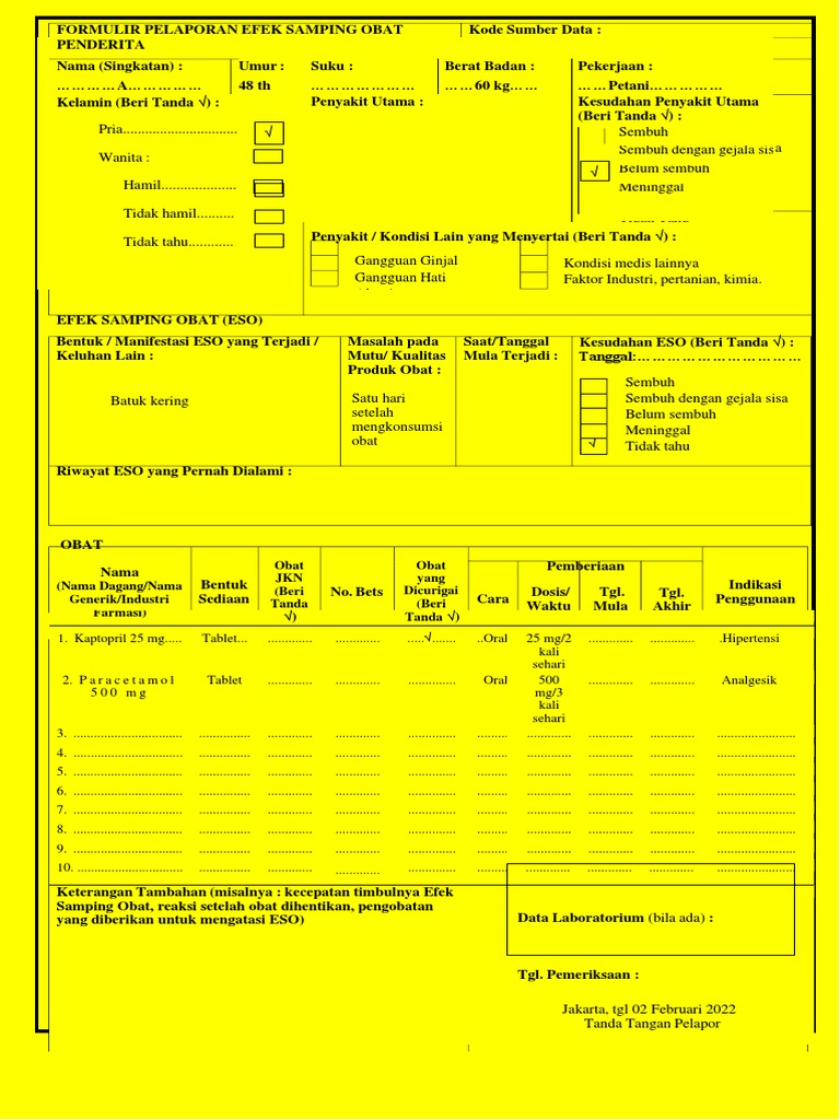 Form MESO Kelompok 4 | PDF