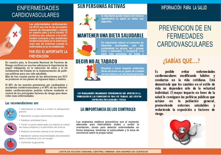 Folleto Riesgo Cardiovascular | PDF | Enfermedades cardiovasculares ...