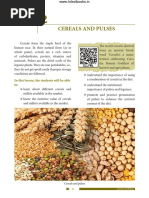 Wheat Kernel Composition | PDF | Whole Grain | Flour