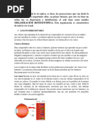 Anatomía de la Vía Visual Humana | PDF | Percepción visual | Corteza visual