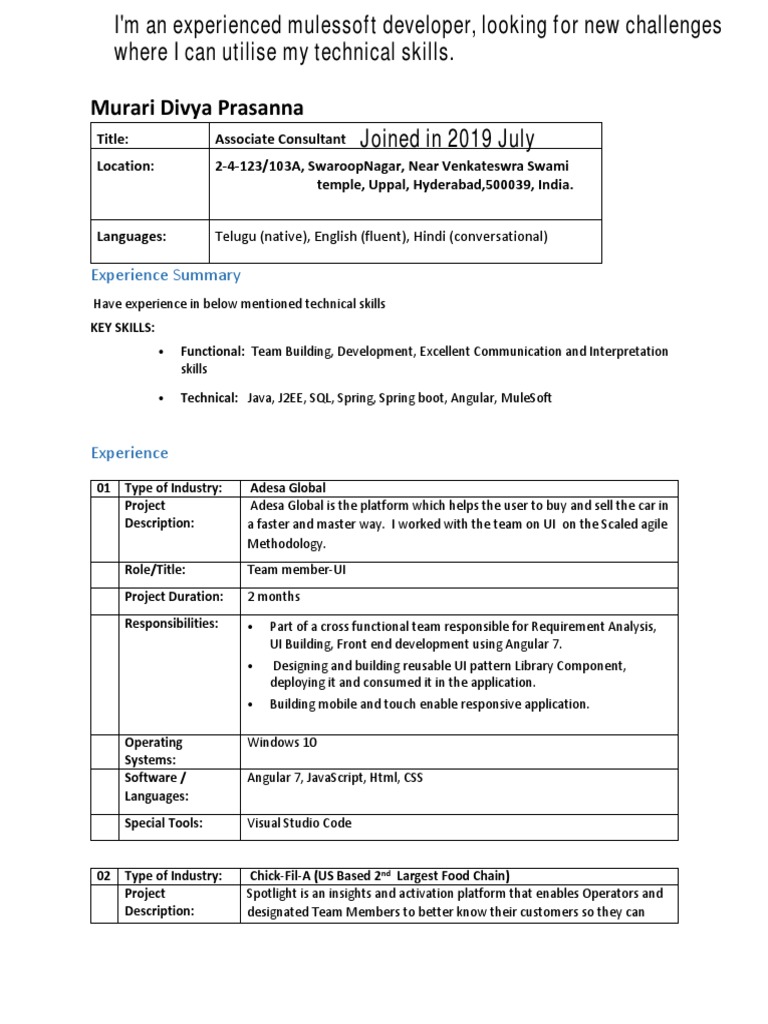 Murari Divya Prasanna: Experience Summary | PDF | Java Script | Software