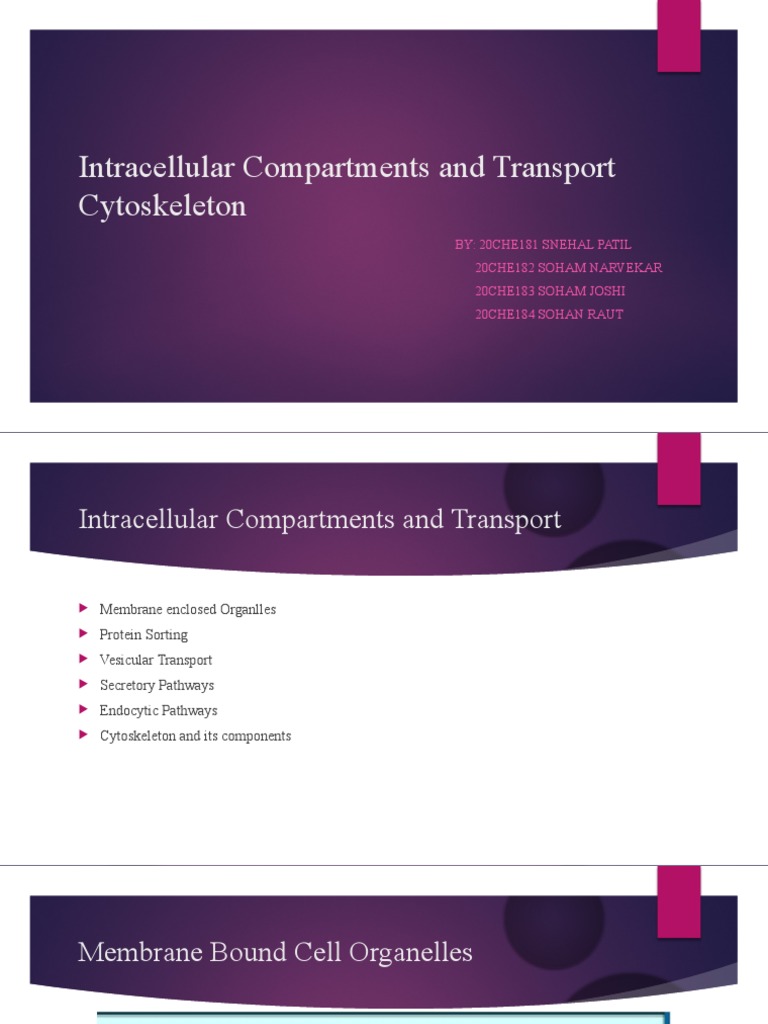 Intracellular Compartments and Transport Cytoskeleton-1 | PDF ...