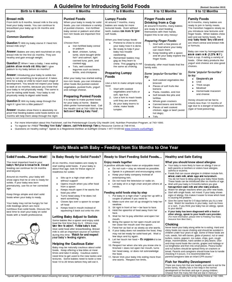 A Guideline For Introducing Solid Foods | PDF | Foods | Breastfeeding
