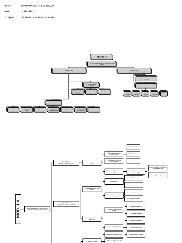 Peta Konsep Dasar Ipa Modul 3 Dan 4 | PDF