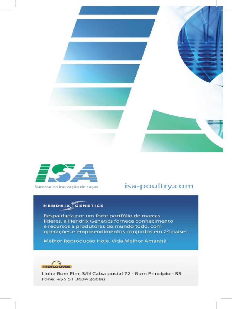 Isa Brown PT | PDF