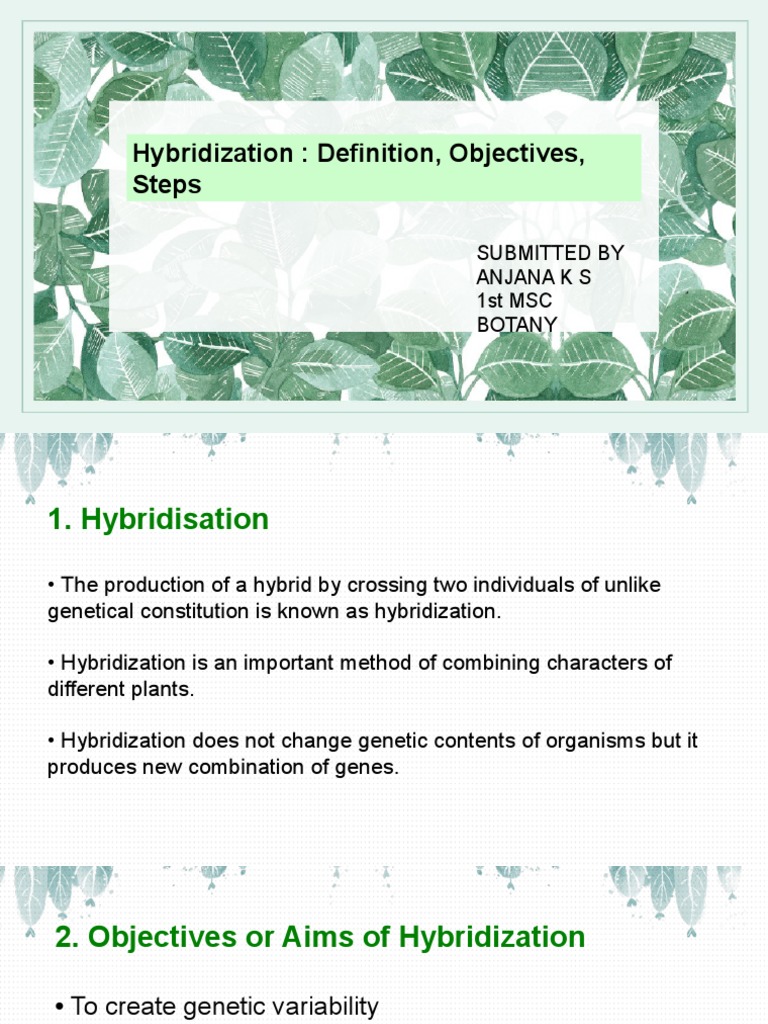 Crossbreeding Definition Cannabis Strain Lineages: History, Hybrids,