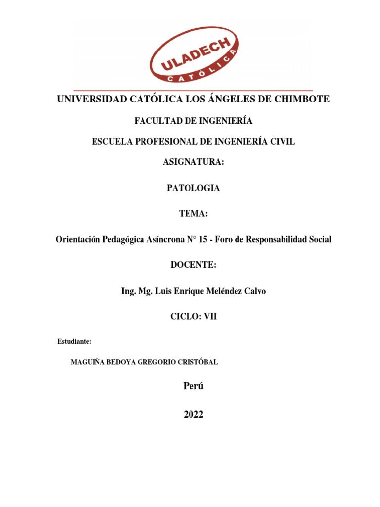 Orientación Pedagógica Asíncrona #15 - Foro de Responsabilidad Social | PDF | Fundación ...