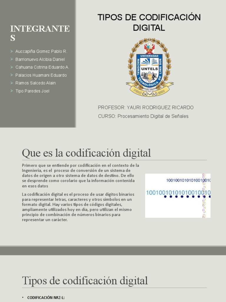 Tipo de Codificacion | PDF | Electrónica | Ciencias de la Computación