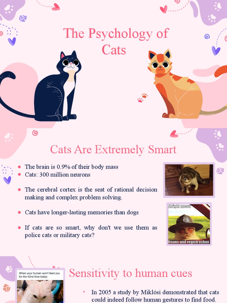 The Psychology of Cats | PDF | Cats | Cognitive Science