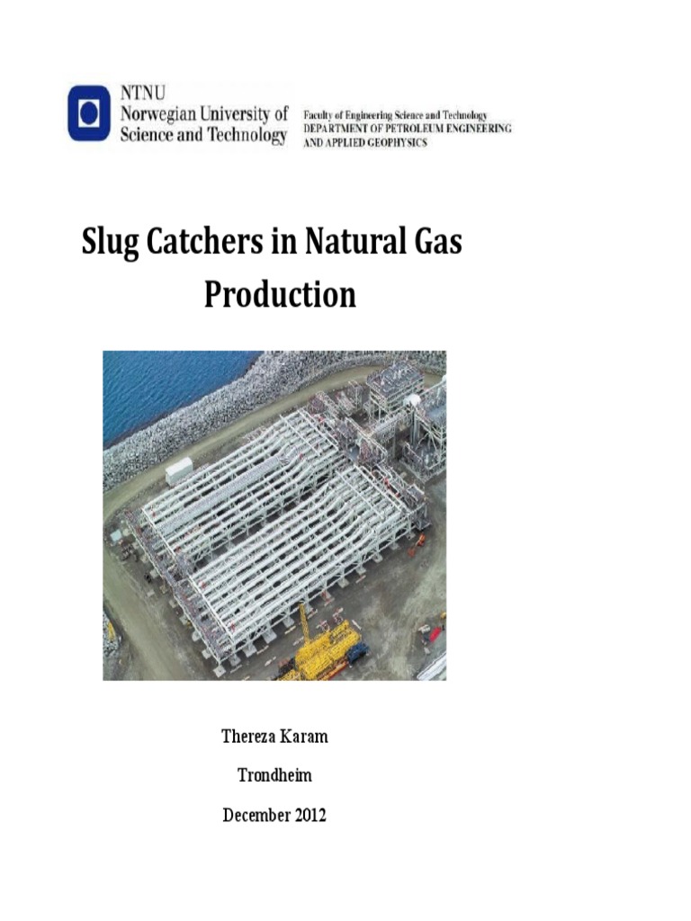 Slug Catchers in Natural Gas Production | PDF | Fluid Dynamics ...