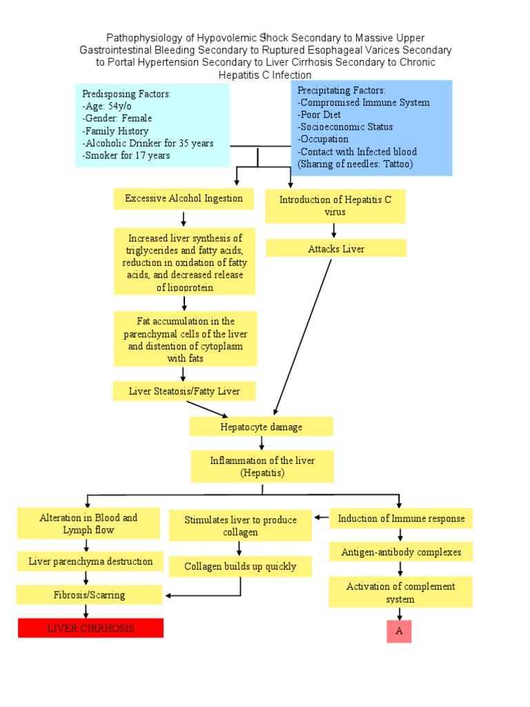 Hypovolemic Shock Pathophysiology | PDF | Liver | Cirrhosis