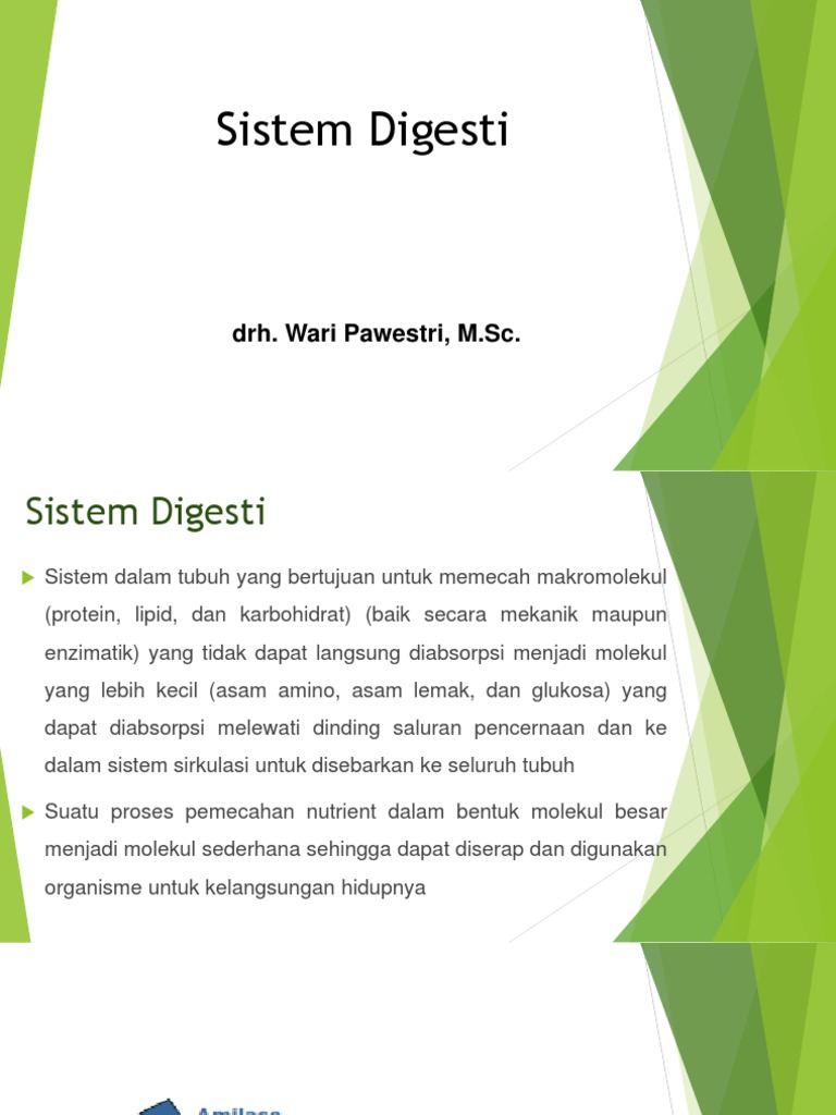 Sistem Digesti 2021 | PDF