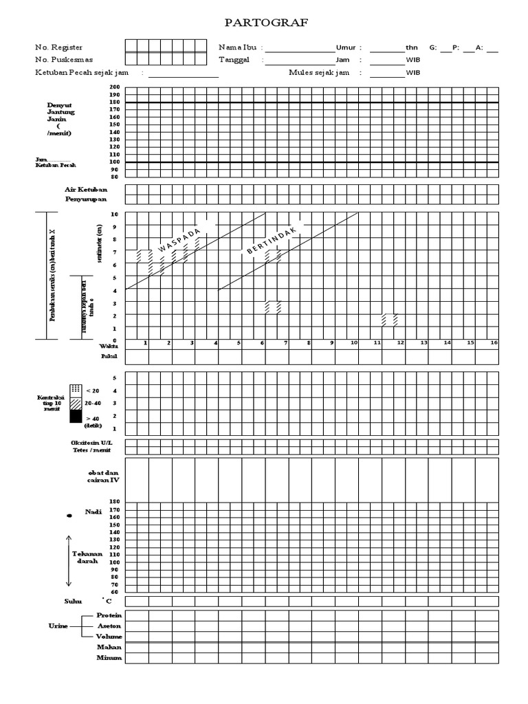 Partograf | PDF