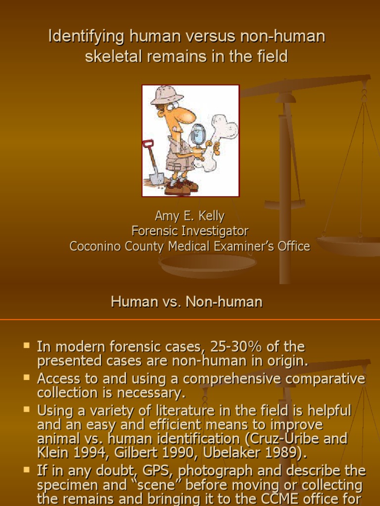 Identifying Human Versus Non-Human Skeletal Remains in The Field | PDF ...