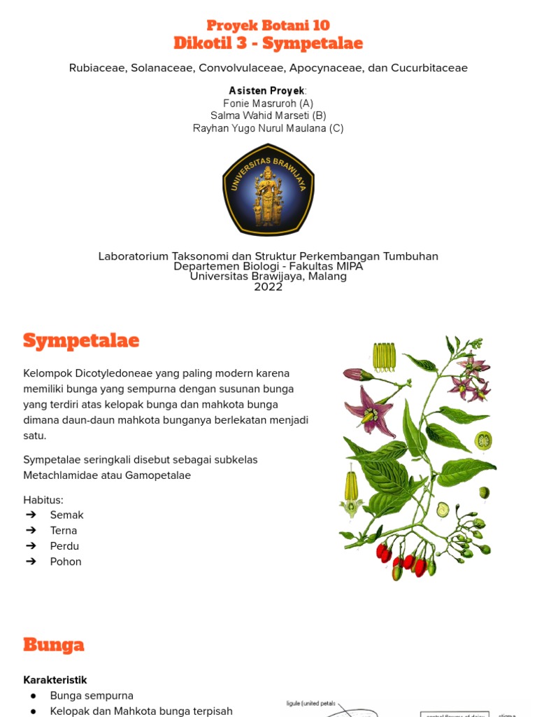 Struktur dan Karakteristik Sympetalae | PDF