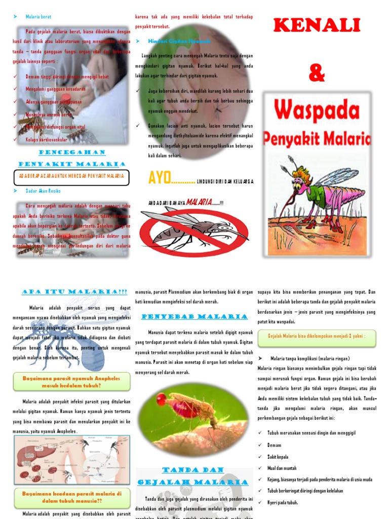 Leaflet Malaria | PDF