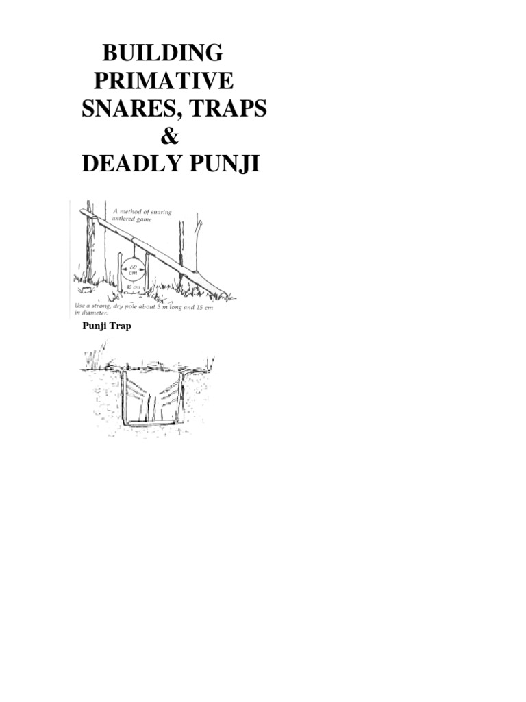 Building Primitive Traps & Snares | PDF | Trapping | Nature