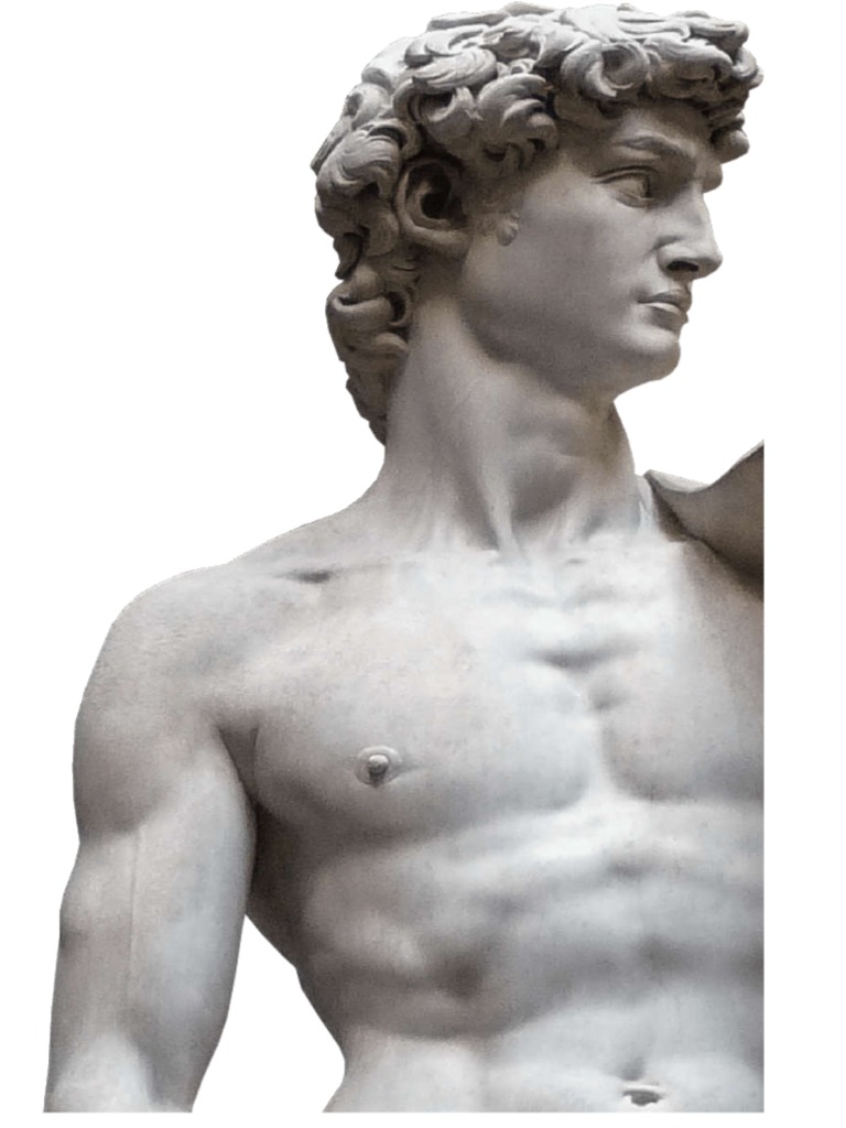 Davi, 1504 de Michelangelo | PDF Davi, 1504 de Michelangelo | PDF