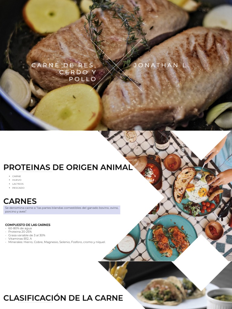 Composición y Tipos de Carnes | PDF | Carne | Nutrición