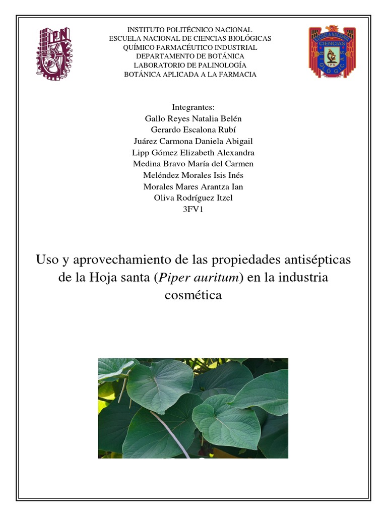 Hoja Santa | PDF | Antimicrobiano | Siembra