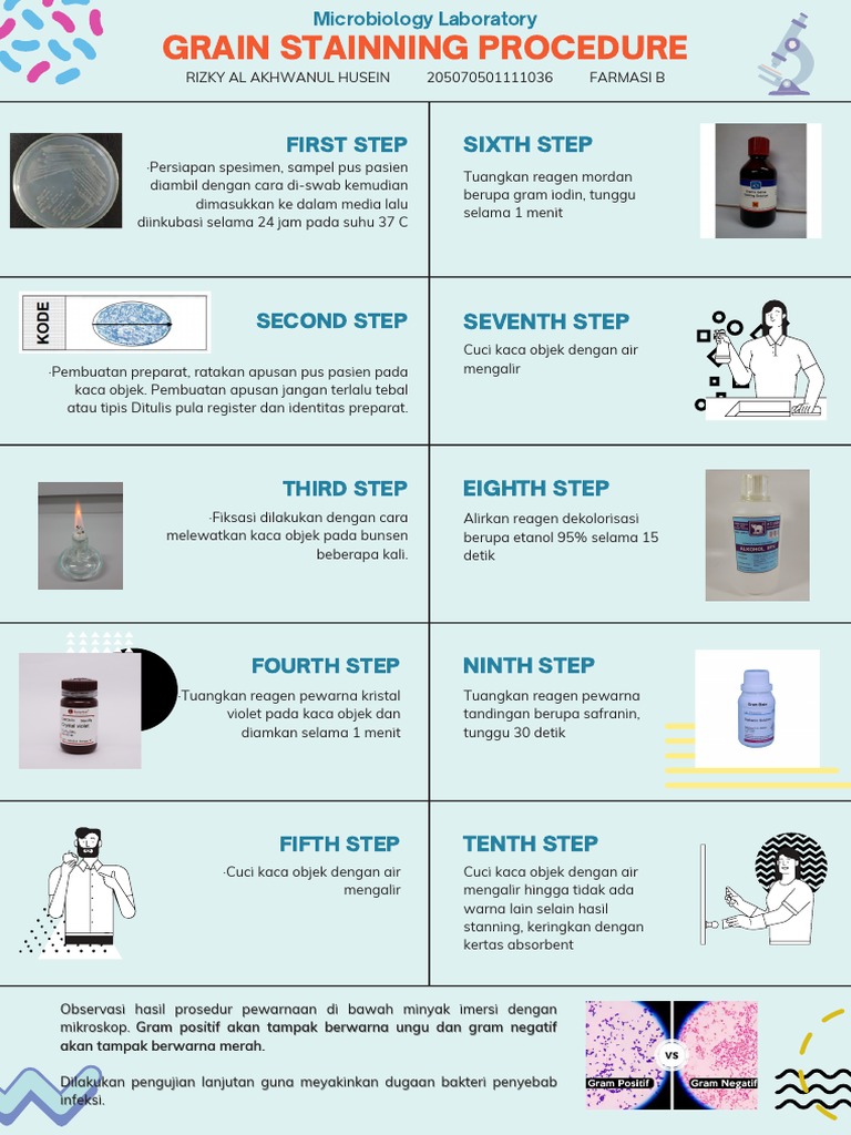 Gram Staining Procedure | PDF