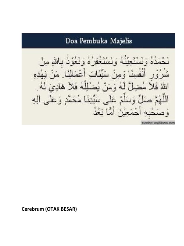 Otak Besar Dan Kecil | PDF Otak Besar Dan Kecil | PDF