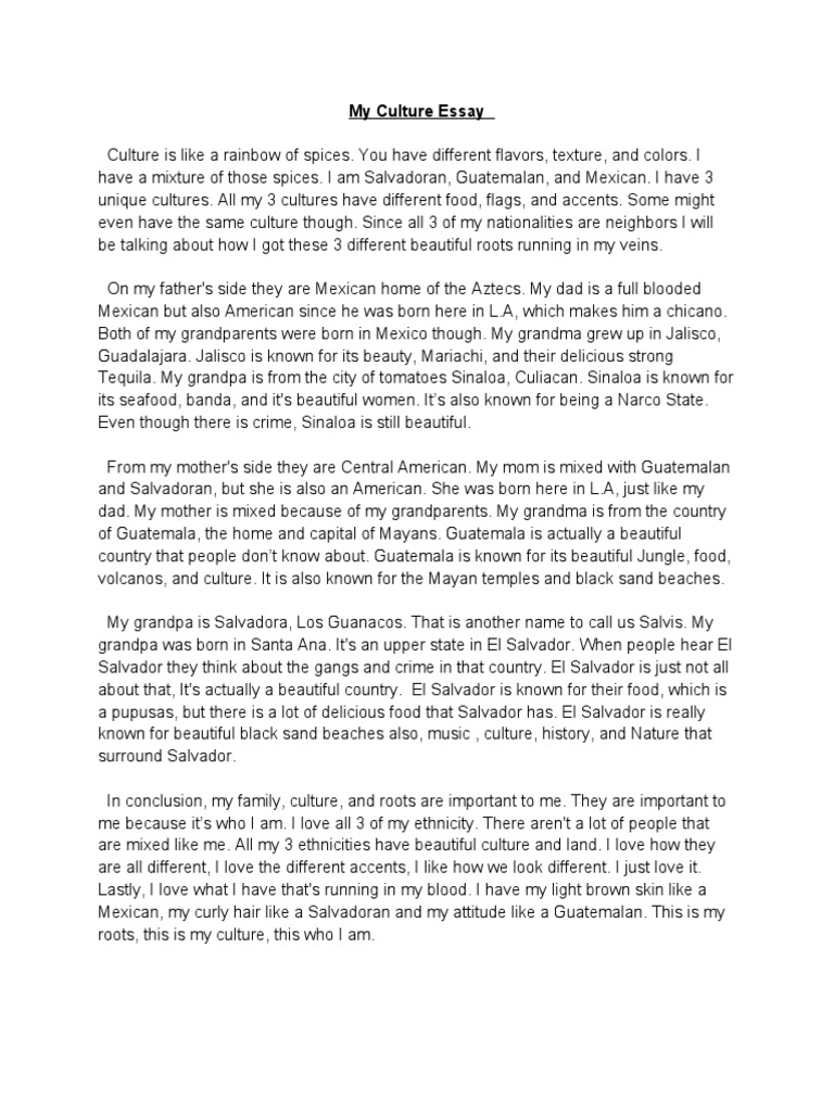My Culture Essay | Download Free PDF | El Salvador | Guatemala