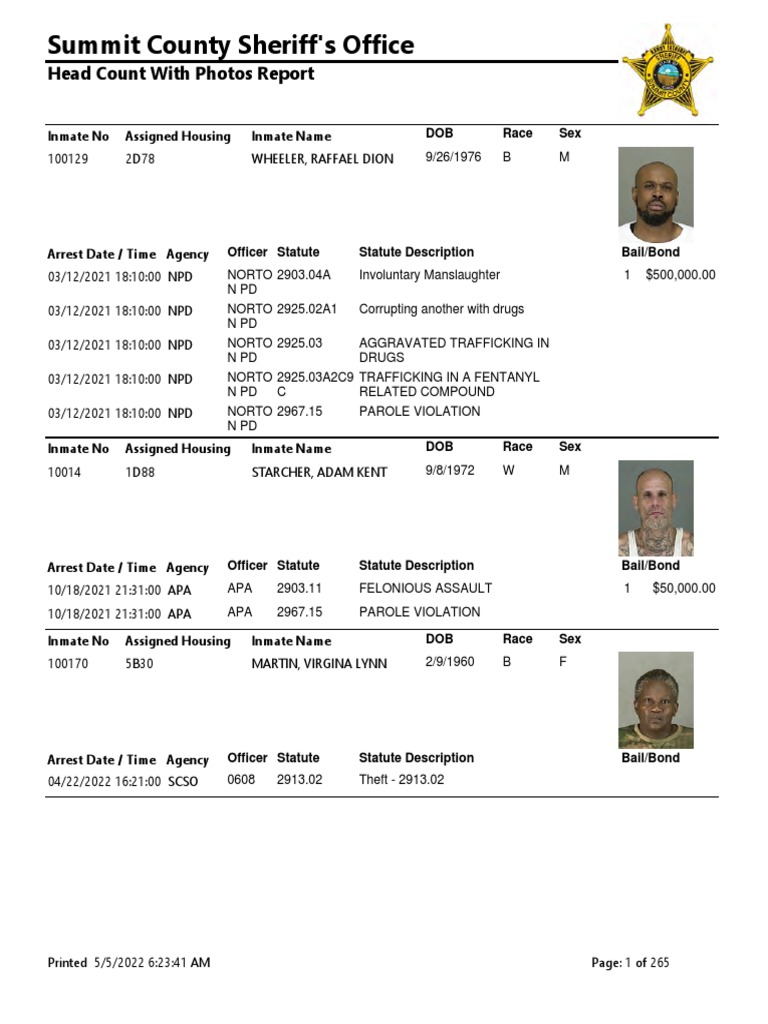 Active Offender Report | PDF | Theft | Burglary
