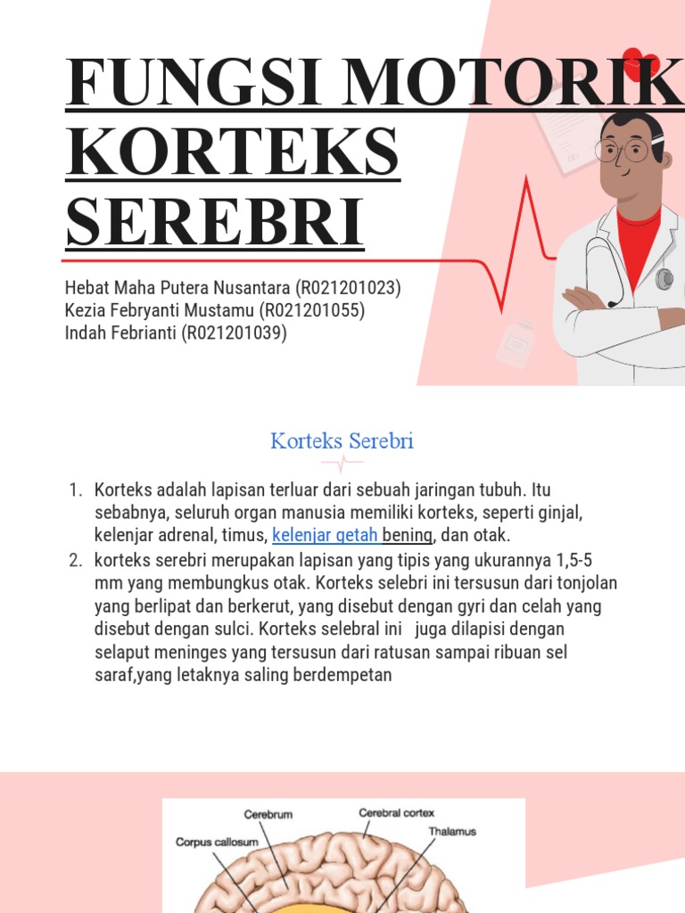 08 - Fungsi Motorik Korteks Serebri Revisi | PDF