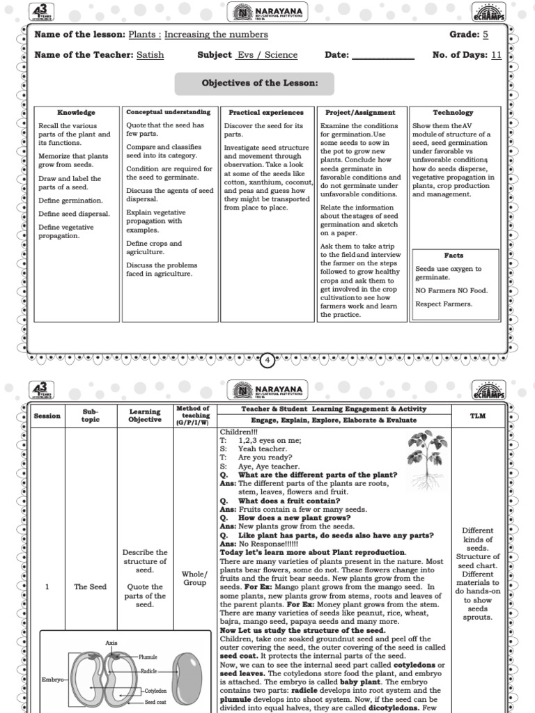 Science Lesson Plan Sample | PDF | Seed | Germination