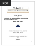 Organization Structure of GenpacT 3 | PDF | Business | Economies