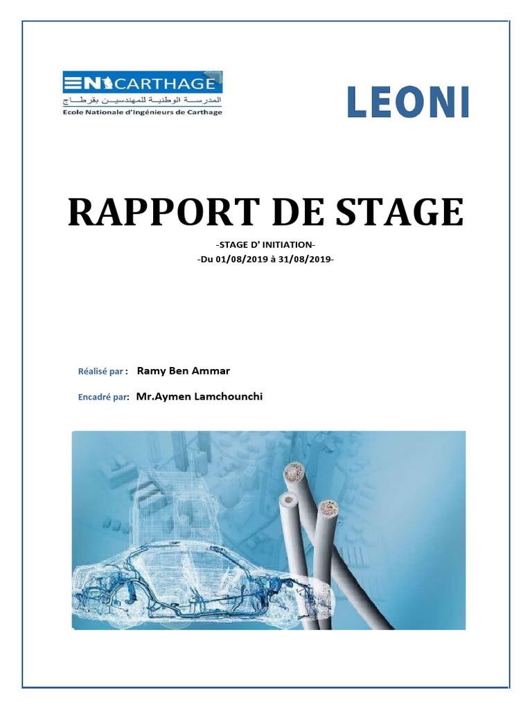 Rapport | PDF