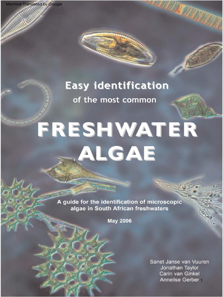 Easy Identification of The Most Common Freshwater Algae | PDF