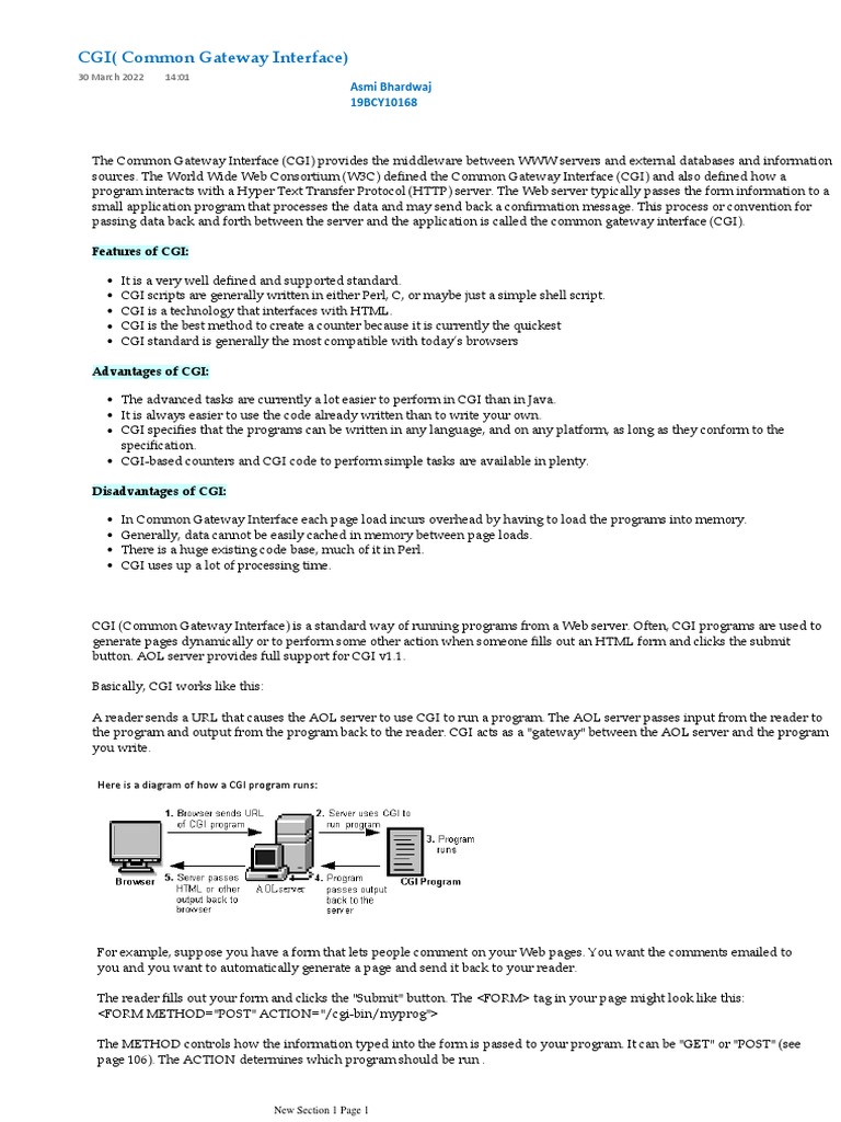 CGI (Common Gateway Interface) | Download Free PDF | Internet & Web ...