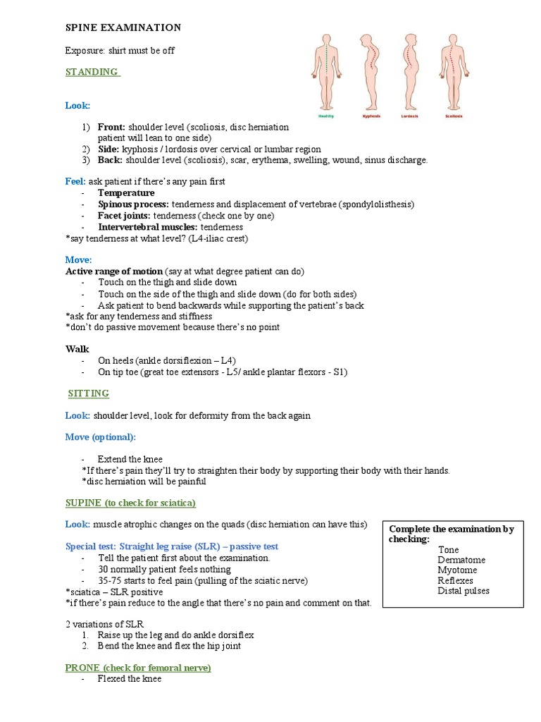 Spine and Shoulder Examination | Download Free PDF | Anatomical Terms ...