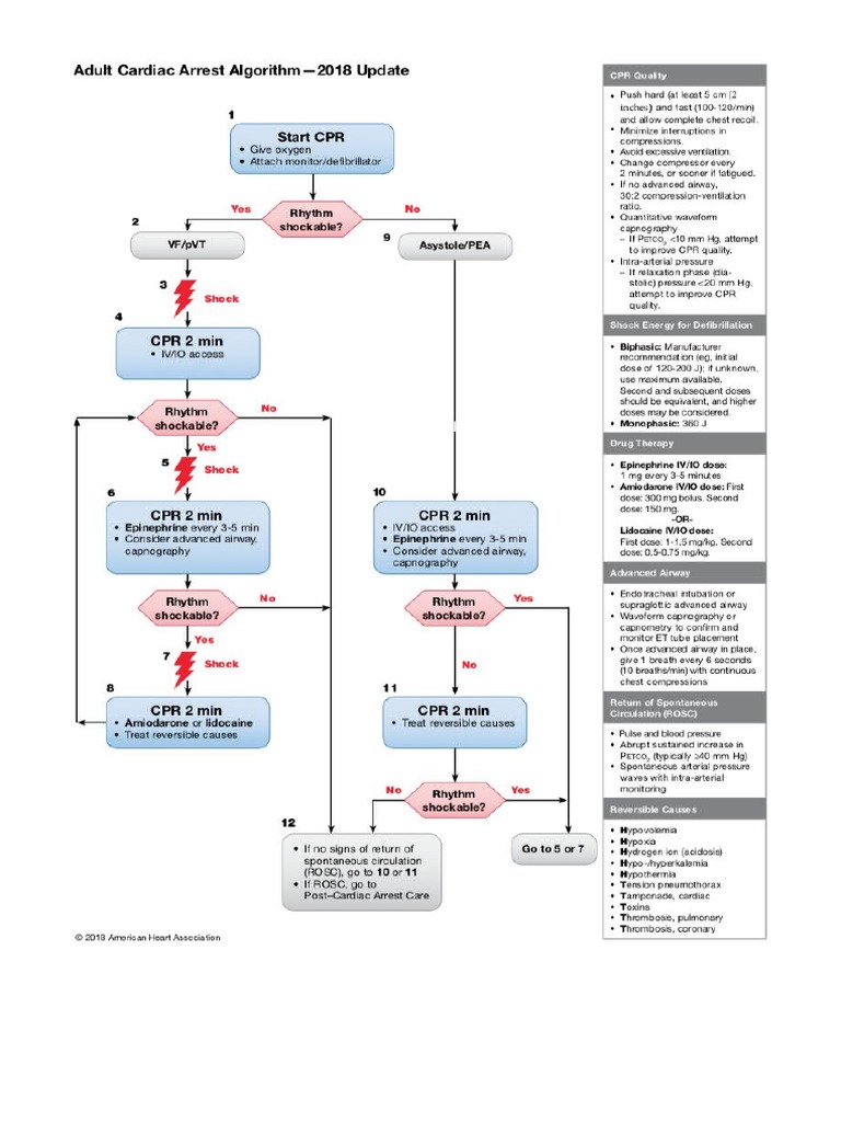 Cardiac Arrest Algorithm | PDF