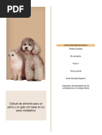 Cálculo de RER y MER para Gatos y Perros | PDF | Animales domesticados ...