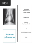 Cistocentesis | PDF | Vejiga urinaria | Ciencias de la Salud