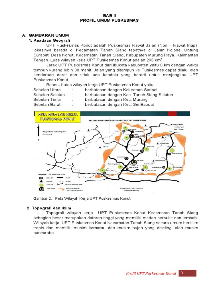 Profil UPT Puskesmas Konut Murung Raya | PDF
