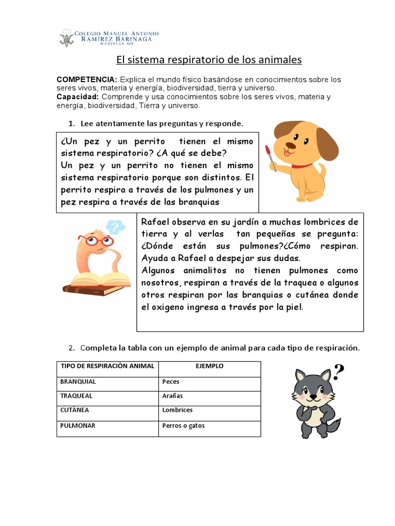 Sistema Respiratorio de Animales-1 Hailie | PDF