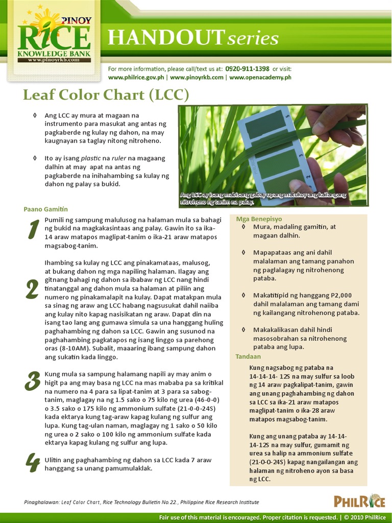 Leaf Color Chart Tagalog | PDF