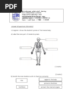Year 2 Exam Paper 2023 NEW | PDF | Cognitive Science