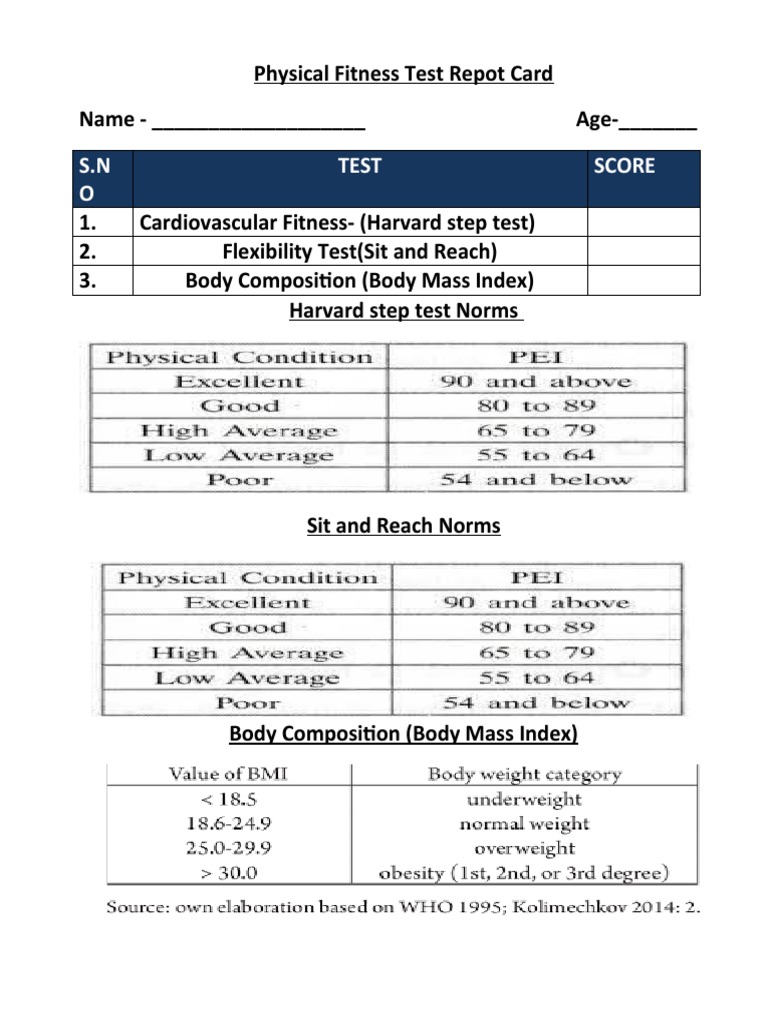 Physical Fitness Test | PDF