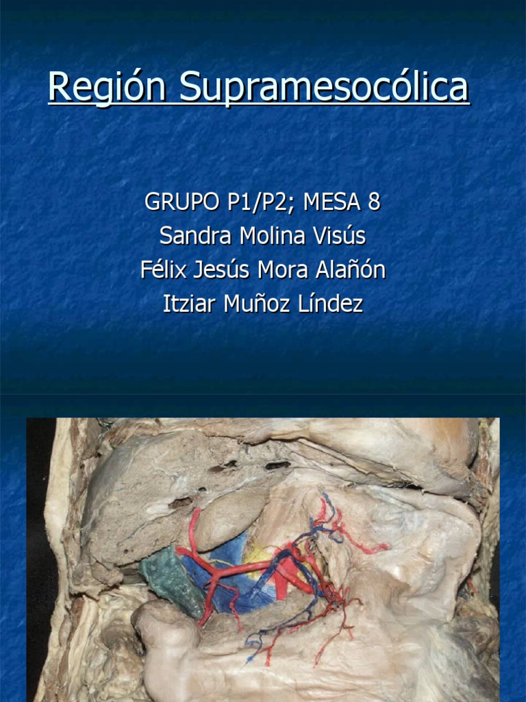 Región Supramesocólica | PDF