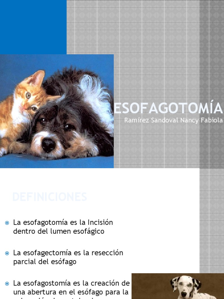 Esofagoctomia | PDF | Especialidades Medicas | Medicina CLINICA
