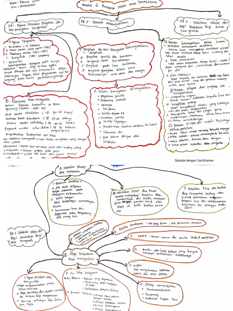 Modul 6 Mind Map Ppabk | PDF